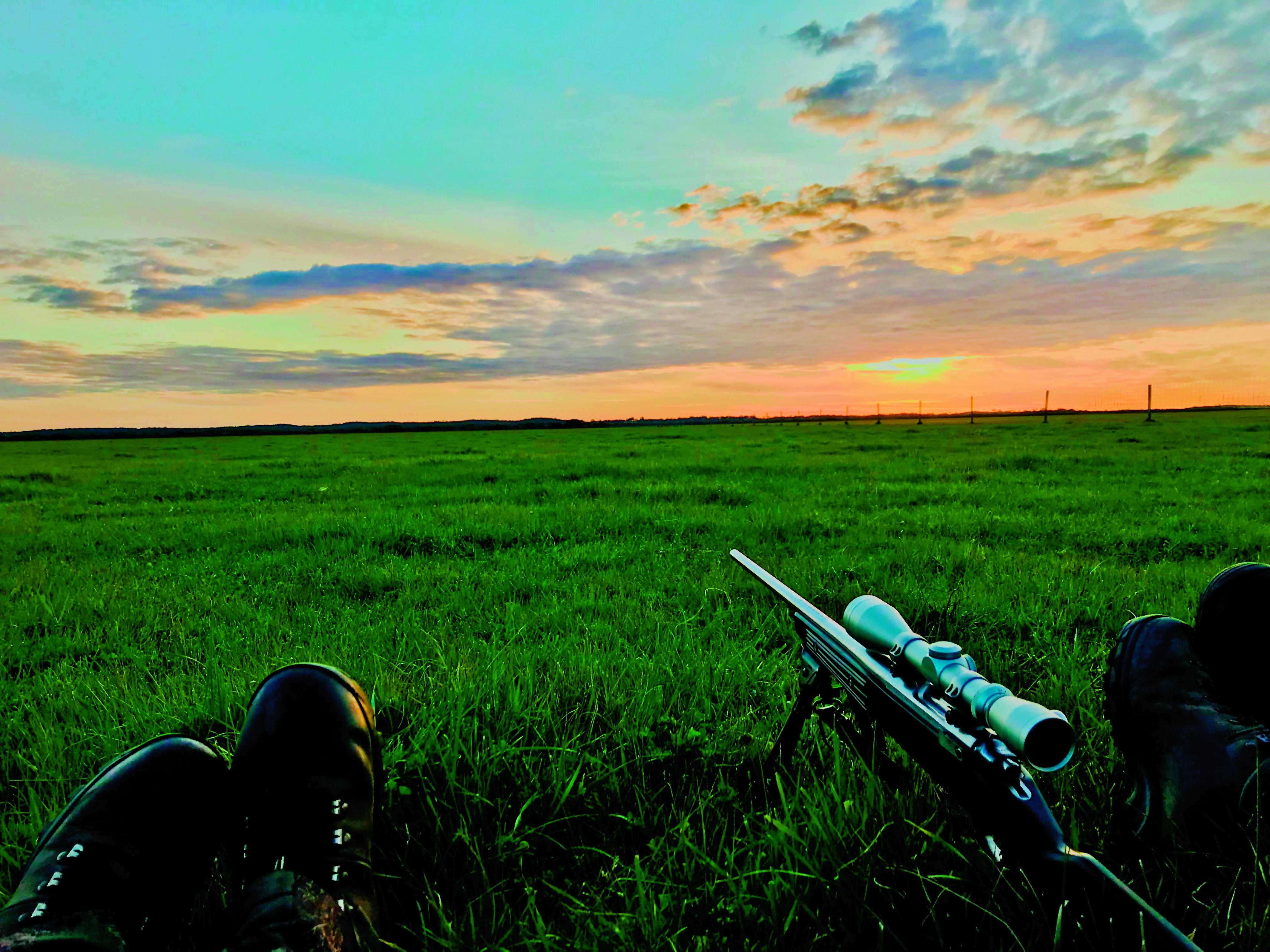 COVID 19 Offers Time For Reflection Australian Deer Association COVID 19 Offers Time For Reflection Australian Deer Association